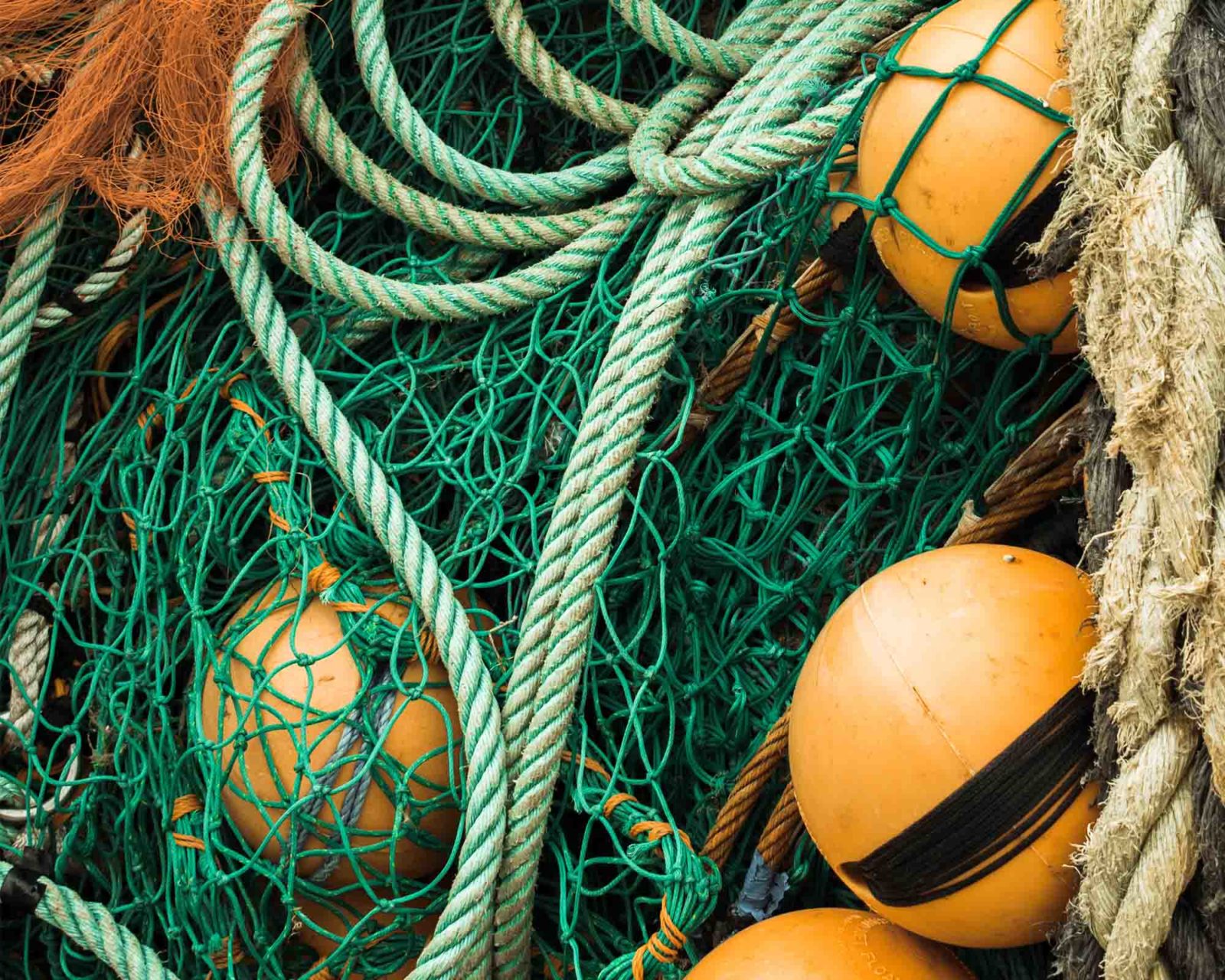 Material Guide: How Sustainable Is ECONYL? - Good On You