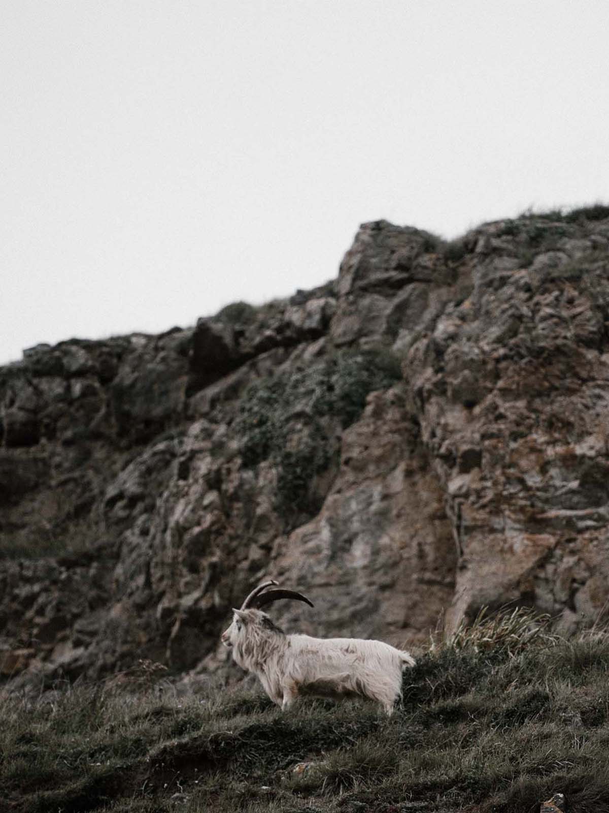 Material Guide: What Is Acetate, and Is It a Lower-Impact Material ...