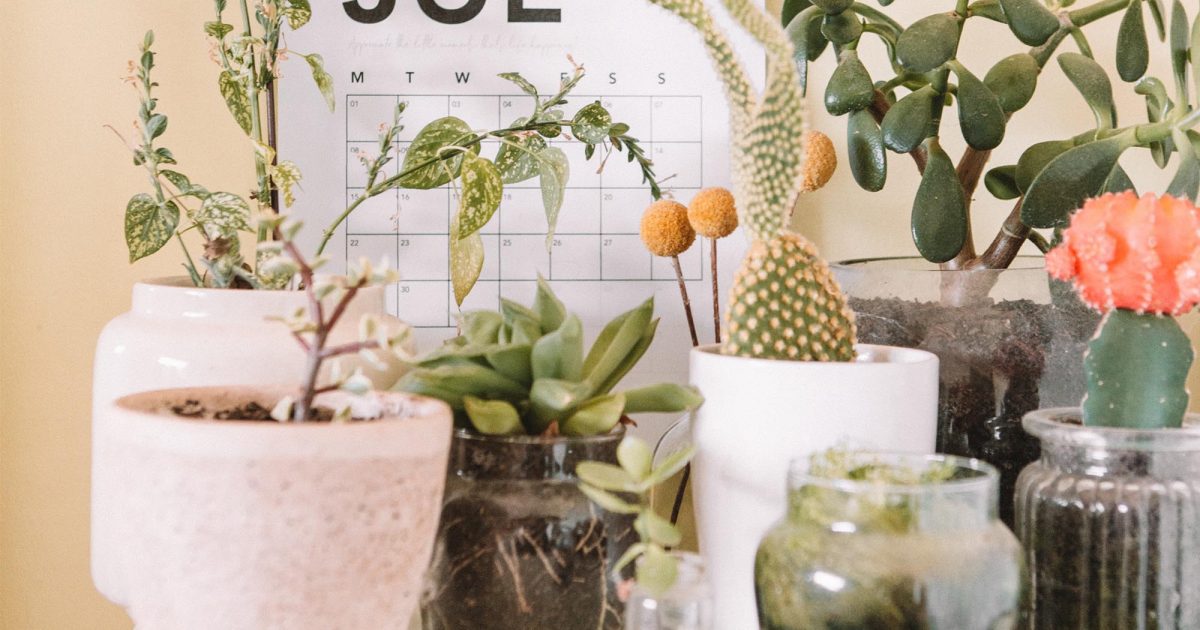 Our Favourite Newly Rated Brands For July - Good On You