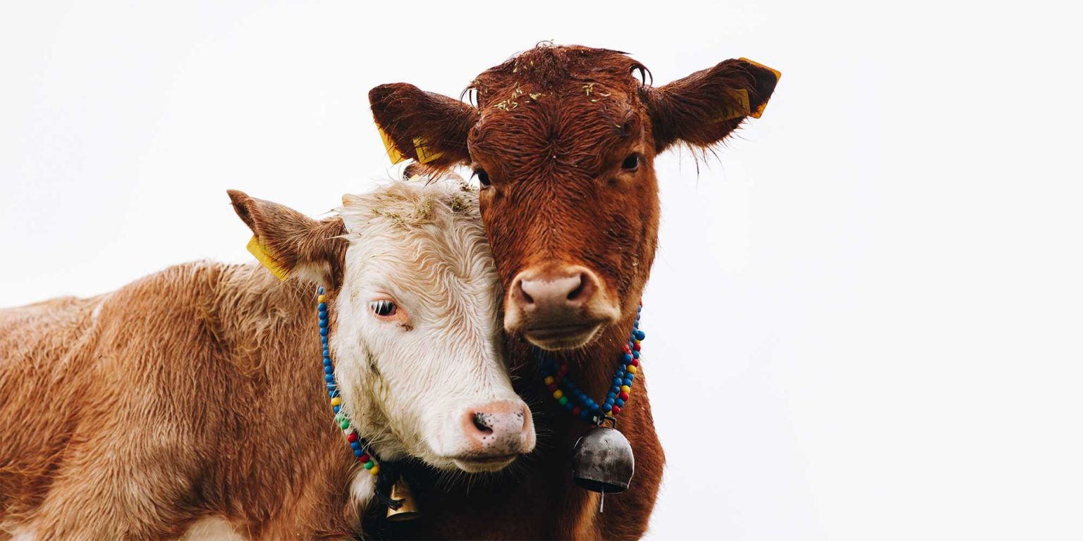 What Are You Wearing? The Ultimate Clothing Material Guide - Good On You