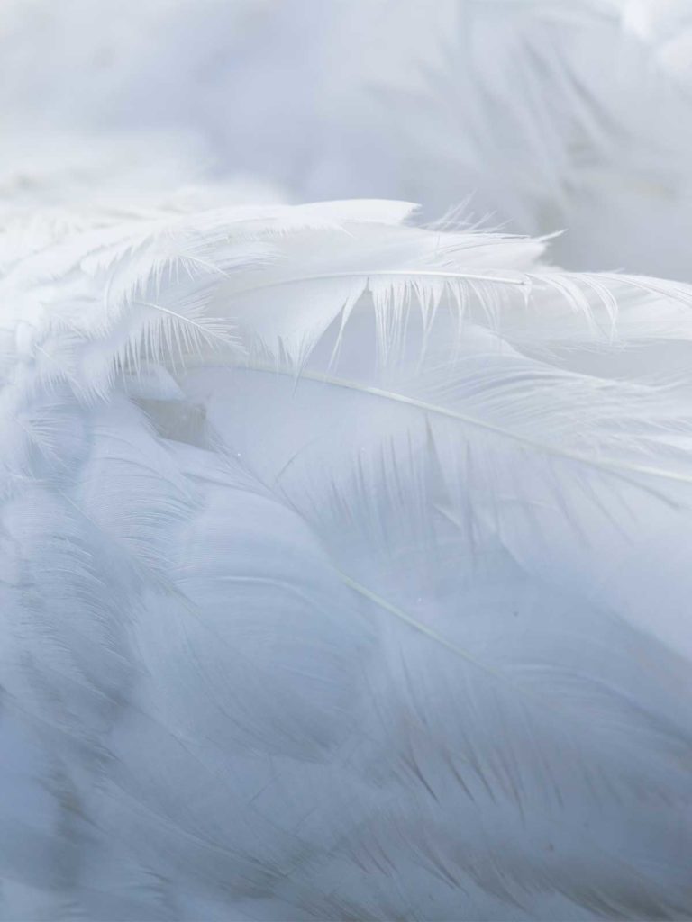 Material Guide: What Is Cupro Fabric and Is It Sustainable? - Good On You