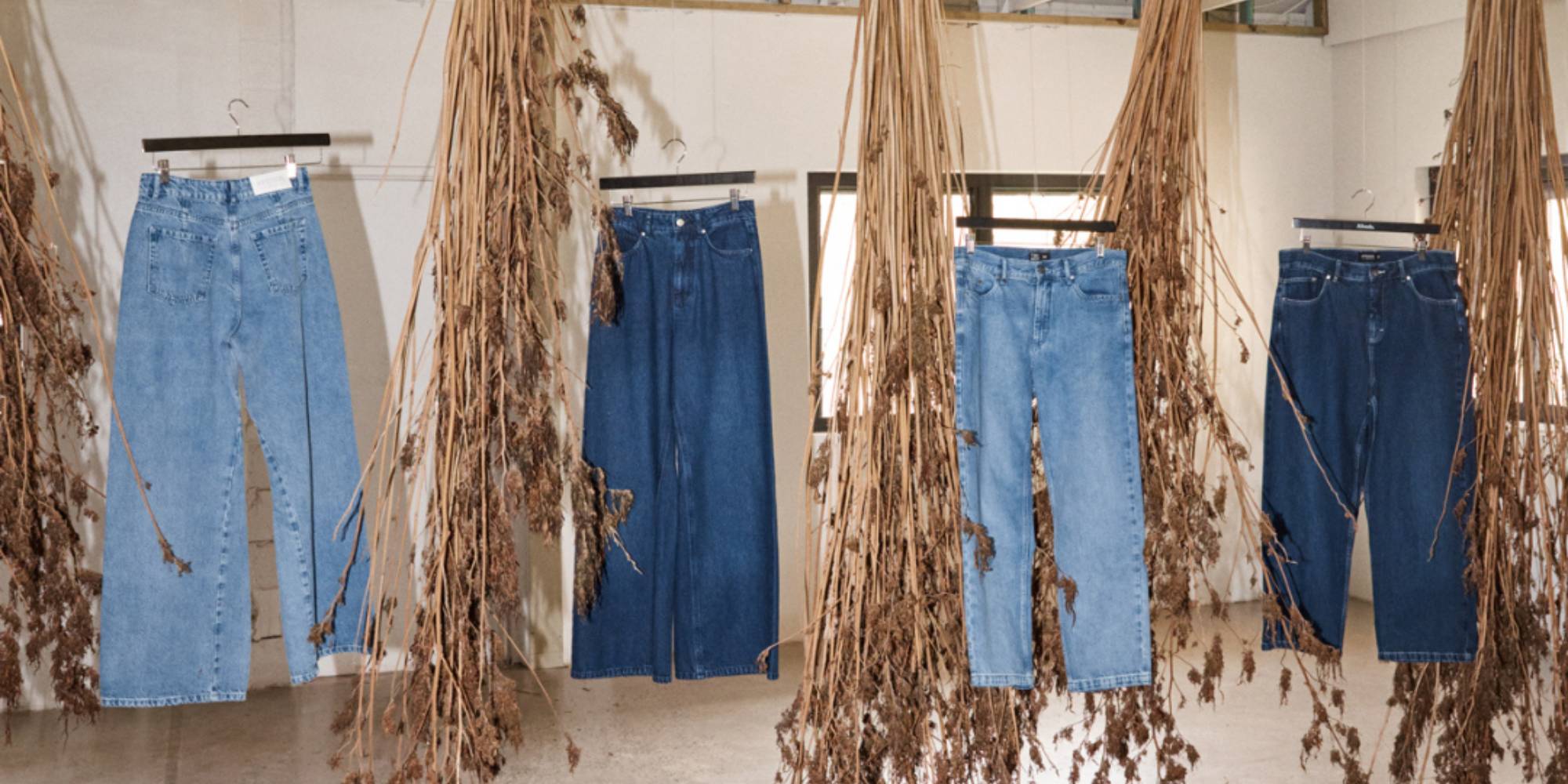 Index of /wp-content/uploads/2023/01