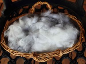 Material Guide: Is Angora Ethical and Sustainable?