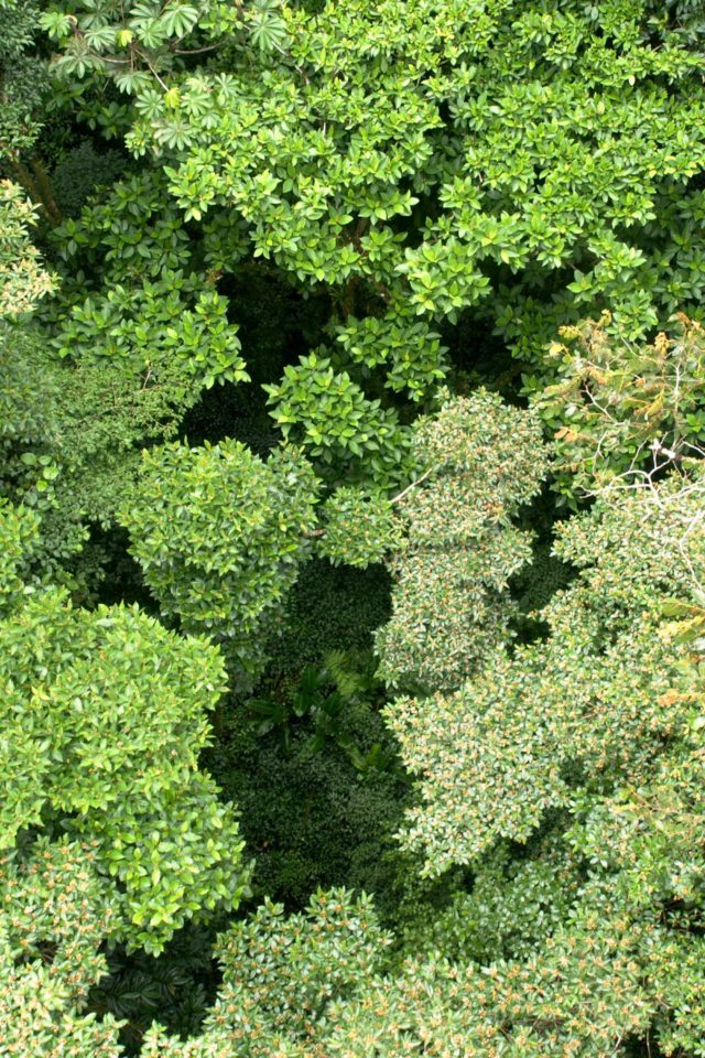 Textile Dyes Pollution: The Truth About Fashion's Toxic Colours - Good ...