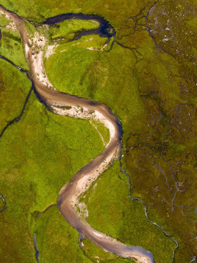 Textile Dyes Pollution: The Truth About Fashion's Toxic Colours - Good ...