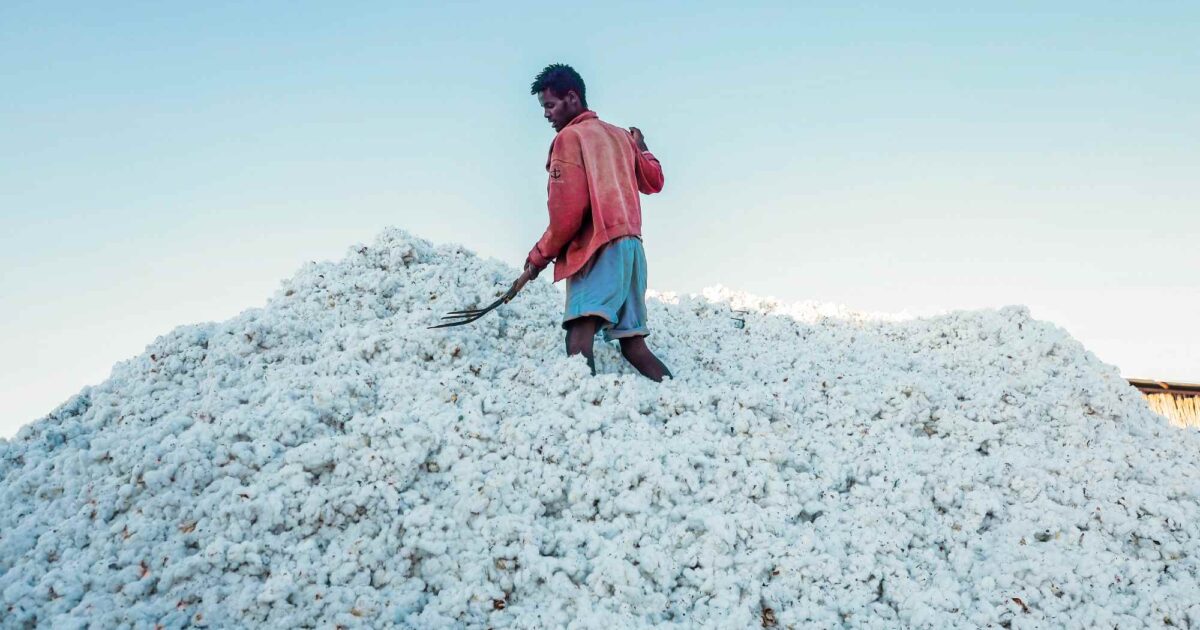 New Report: Brands Promote ‘Sustainable’ Cotton While Mostly Using ...